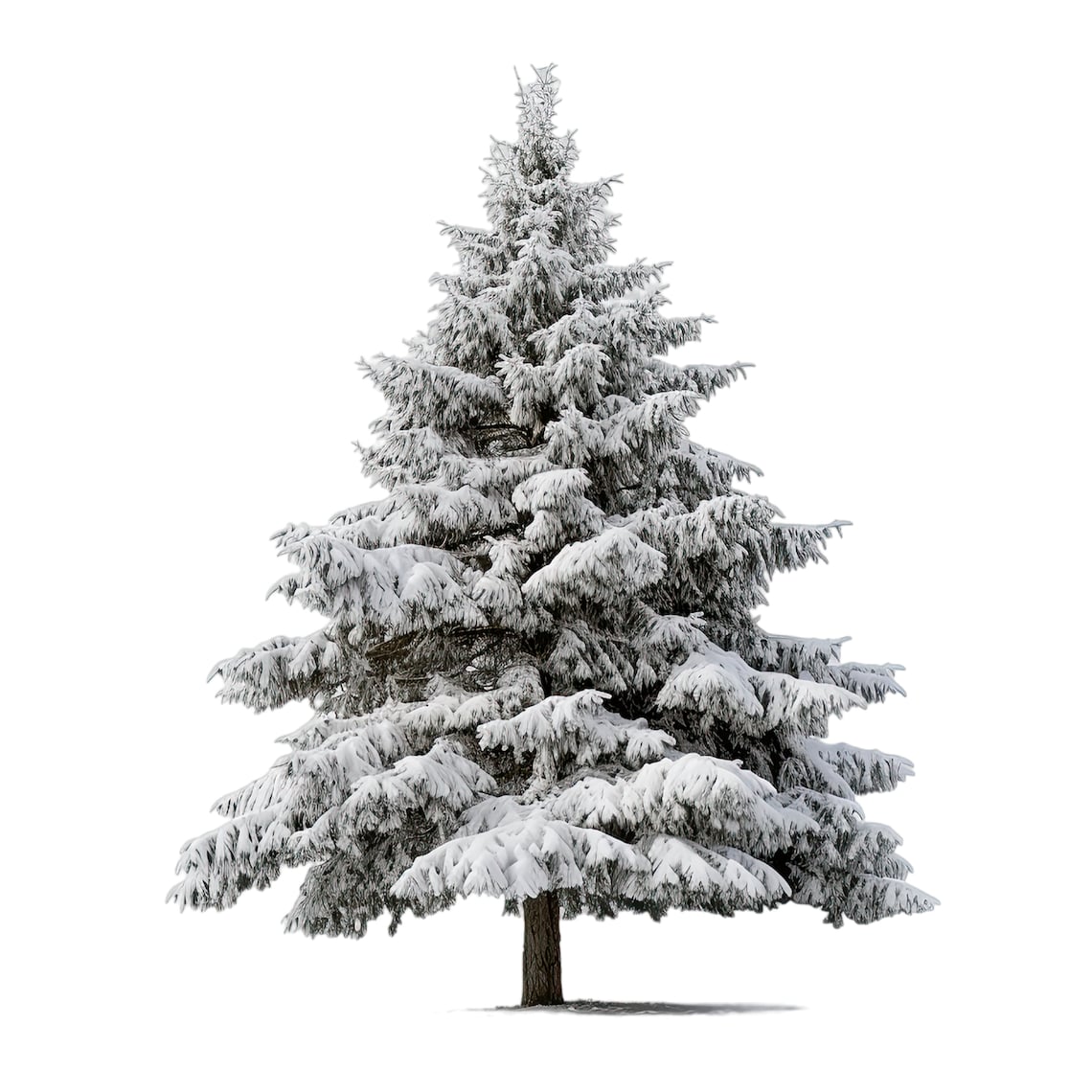 Snowy Tree Clipart, Christmas Tree Clipart, Watercolor Christmas Tree ...