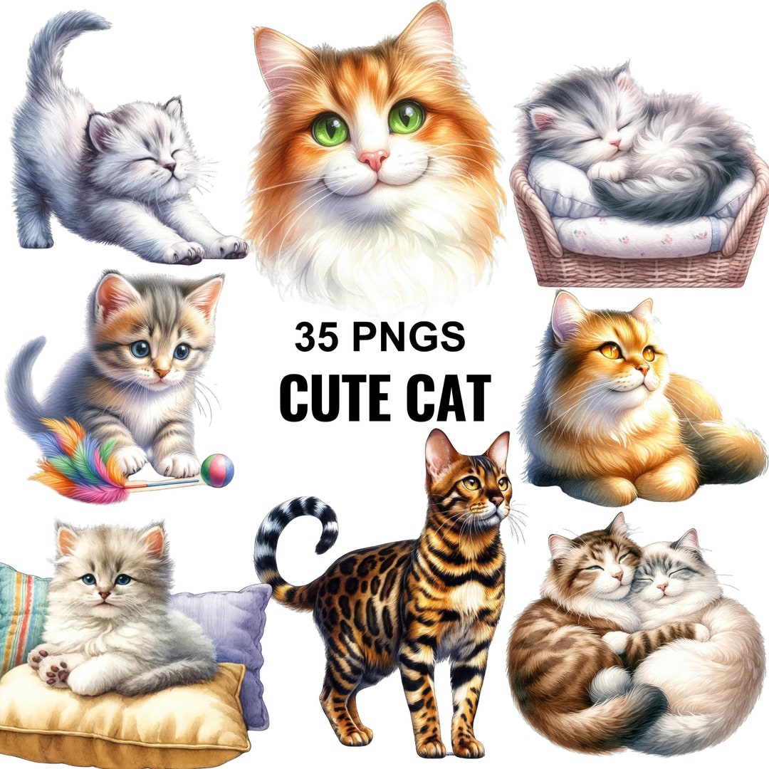 Watercolor Cute Cat Clipart, Kittens Clipart, Cute Cats Clipart, Cute ...