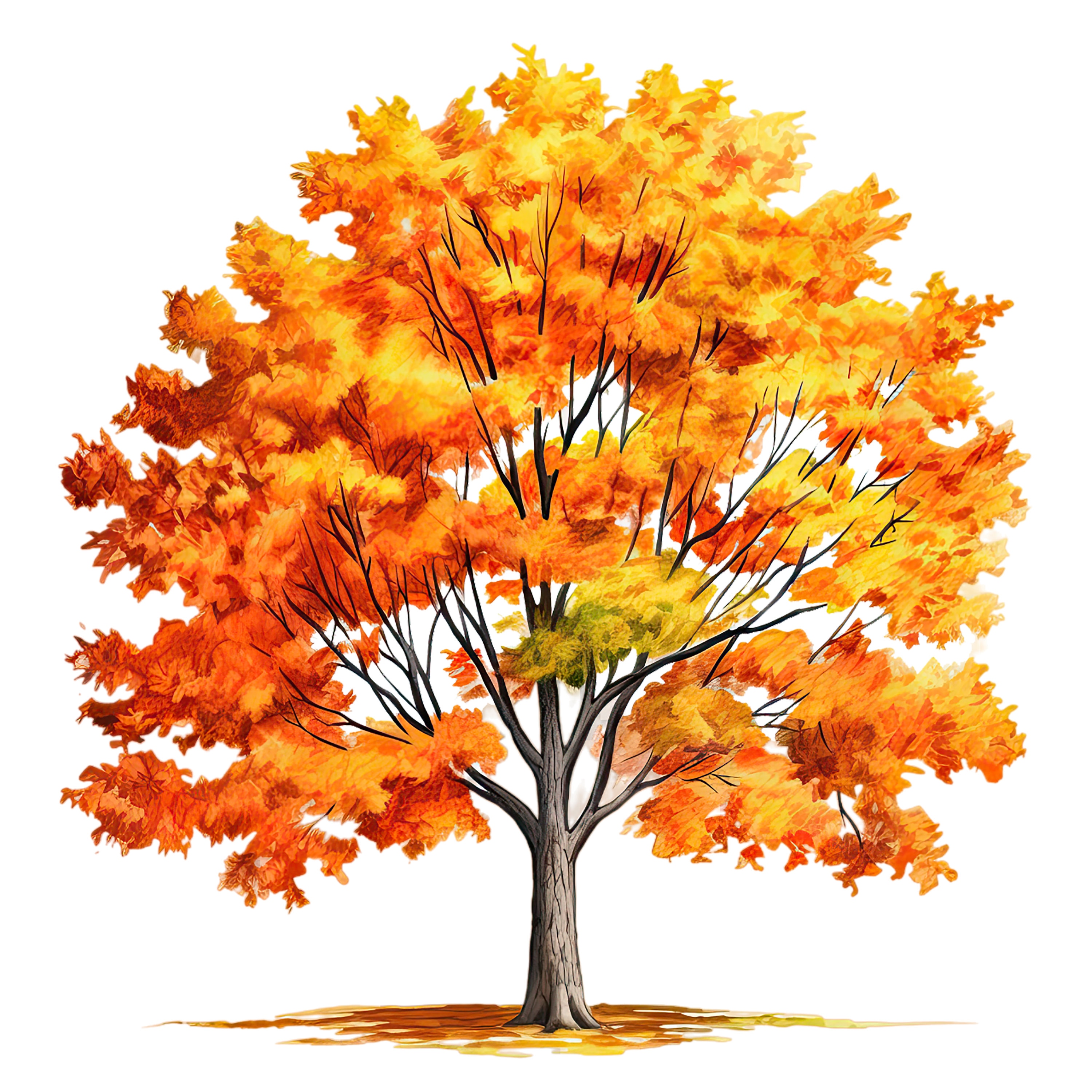 Autumn Tree Clipart, Fall Tree Clipart, Watercolor Clipart, Fall Season ...