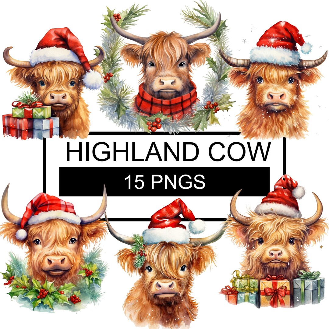 Watercolor Christmas Highland Cow PNG Clipart, Holiday Highland Cow ...