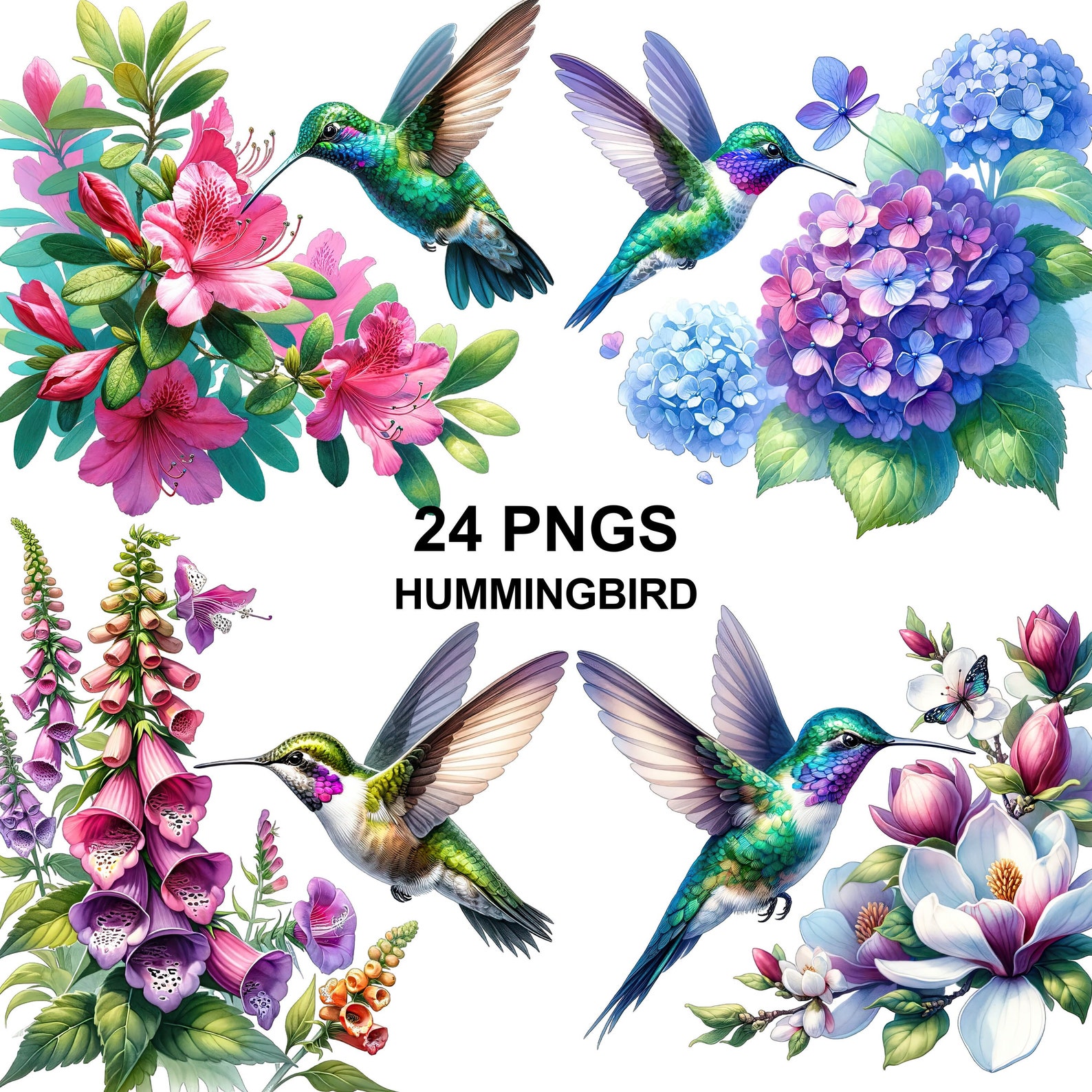 Hummingbird Clipart, Bird Png, Watercolor Hummingbird Collection ...