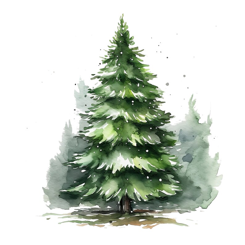 Watercolor Christmas Tree Clipart: Holiday PNG Images (digital Download ...