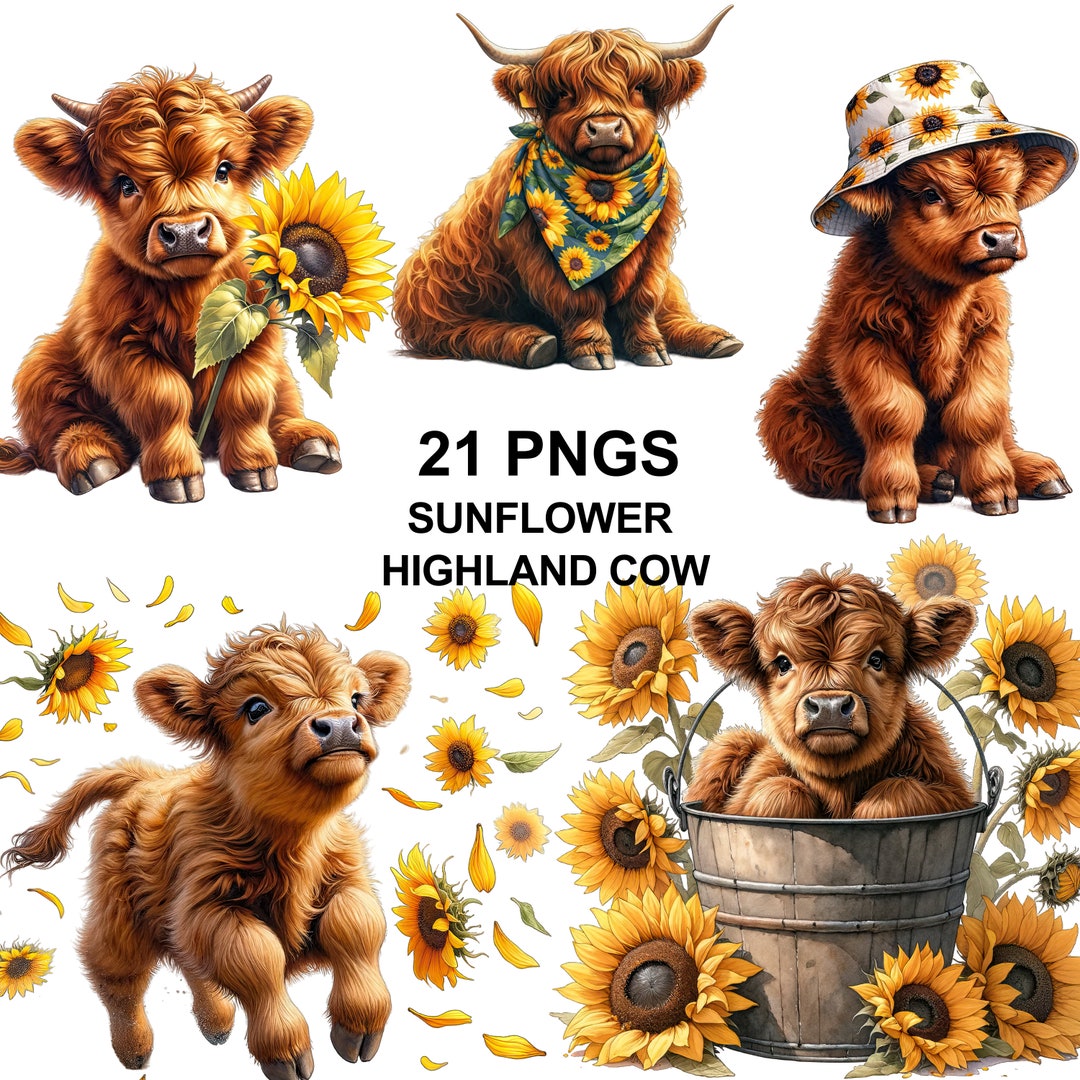 Watercolor Sunflower Highland Cow Clipart: Nursery PNG Bundle (digital ...
