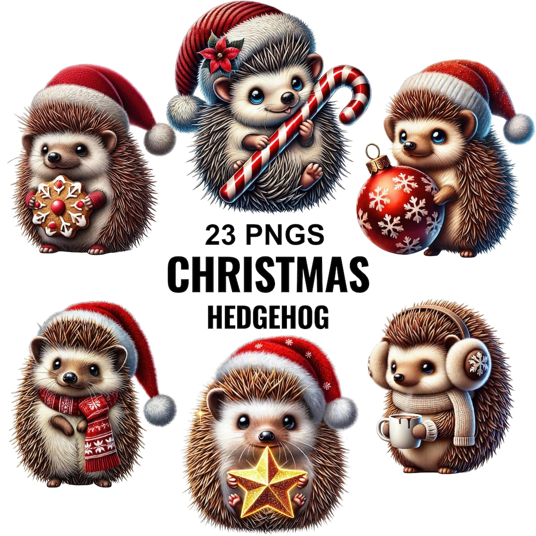 Christmas Hedgehog Clipart, Winter Hedgehog, Cute Hedgehogs Clipart ...