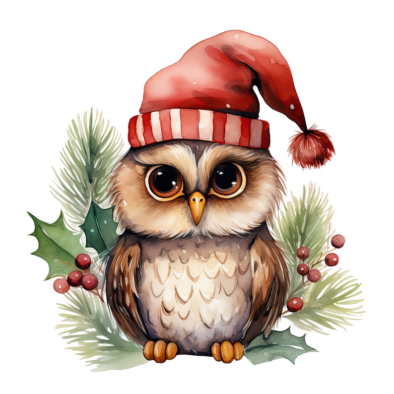 Watercolor Christmas Owl Clipart: Festive PNG Bundle (digital Download ...