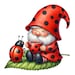 Ladybug Gnome Clipart, Spring Gnome Png, Cute Ladybug PNG, Ladybug ...