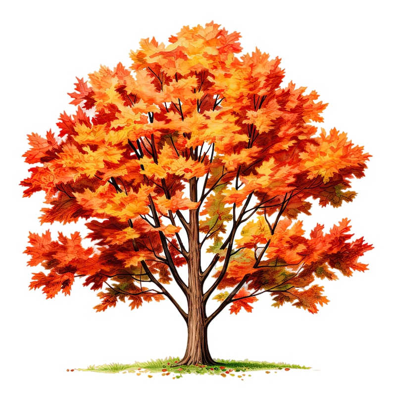 Autumn Tree Clipart, Fall Tree Clipart, Watercolor Clipart, Fall Season ...