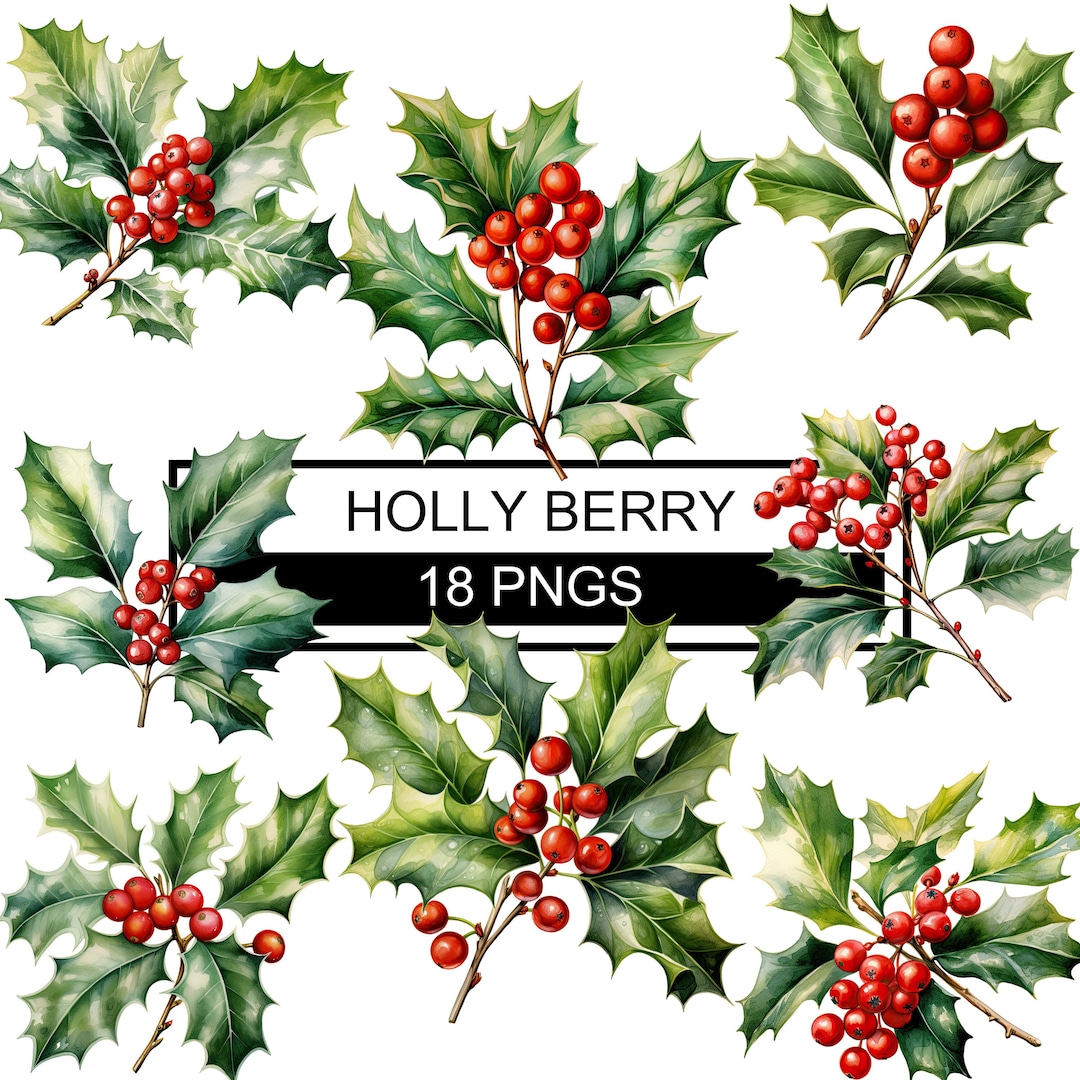 Watercolor Holly Berry Clipart, Holly Clipart, Watercolor Holly Clipart ...