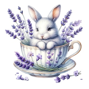 Bunny in a Teacup Clipart, Cute Bunny Clipart, Teacup Clipart, Rabbit ...