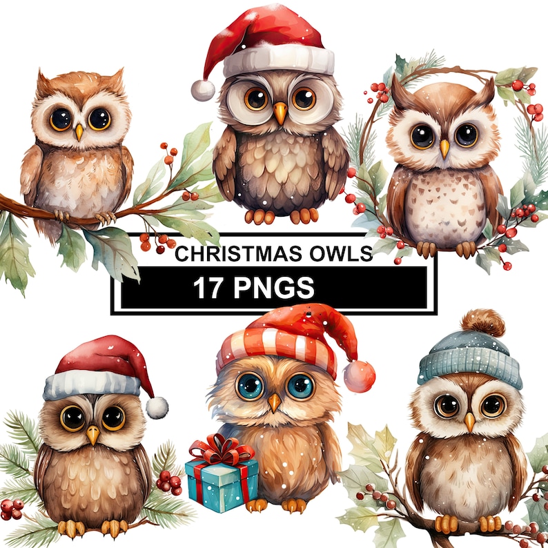 Watercolor Christmas Owl Clipart Christmas Owl Clipart Owl - Etsy