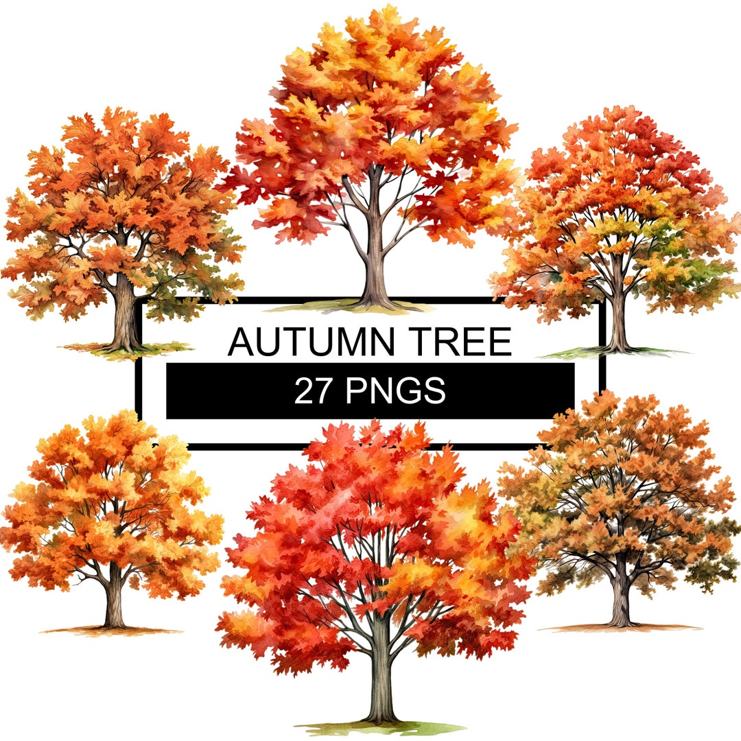 Autumn Tree Clipart, Fall Tree Clipart, Watercolor Clipart, Fall Season ...