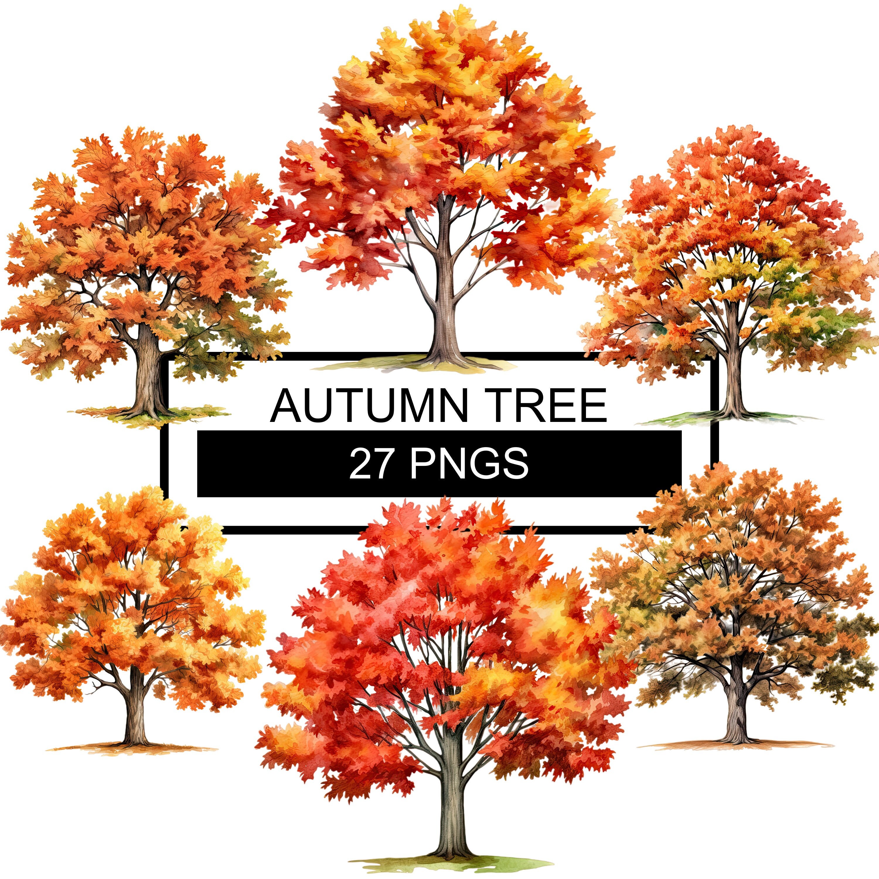 Autumn Tree Clipart, Fall Tree Clipart, Watercolor Clipart, Fall Season ...