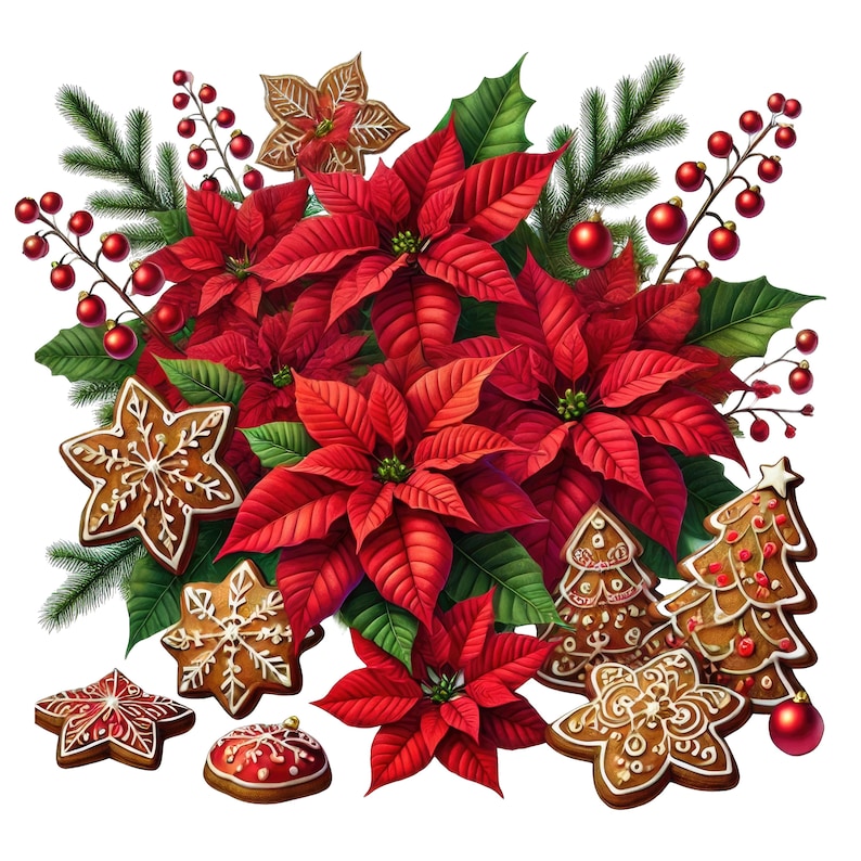 Poinsettias Clipart Bundle,christmas Red Poinsettia,beautiful ...