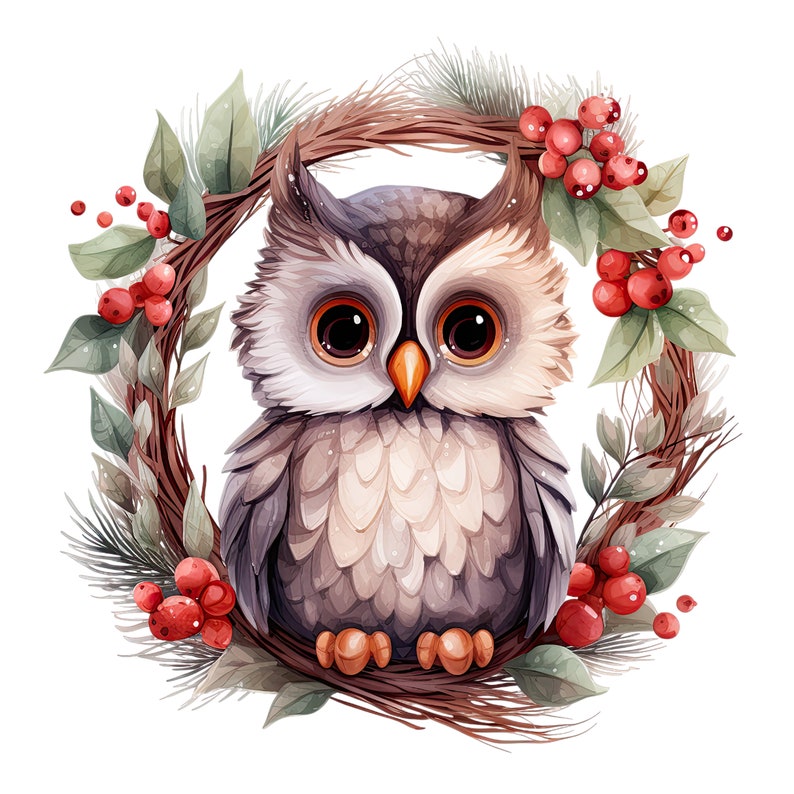 Watercolor Christmas Owl Clipart: Festive PNG Bundle (digital Download ...