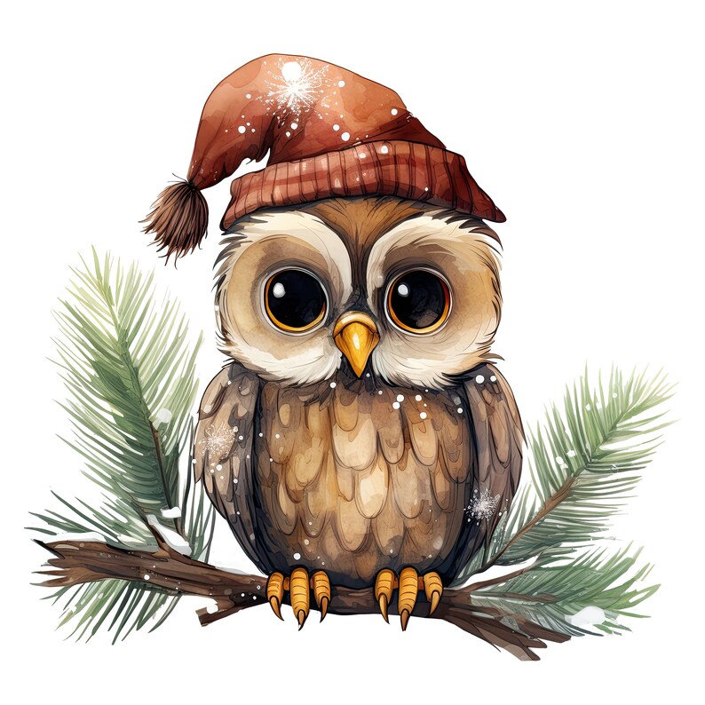 Watercolor Christmas Owl Clipart: Festive PNG Bundle (digital Download ...