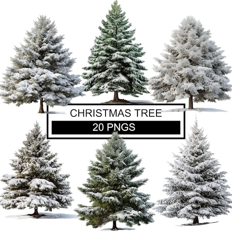 Snowy Christmas Tree Clipart: Watercolor Evergreen Pngs (digital ...