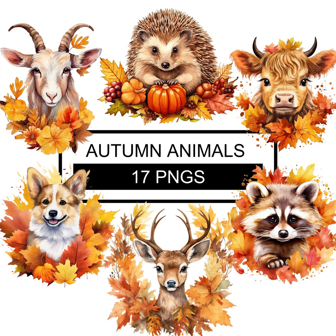 Watercolor Autumn Animal Clipart,fall Animal Clipart,watercolor Animal ...