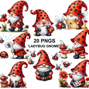 Ladybug Gnome Clipart, Spring Gnome Png, Cute Ladybug PNG, Ladybug ...