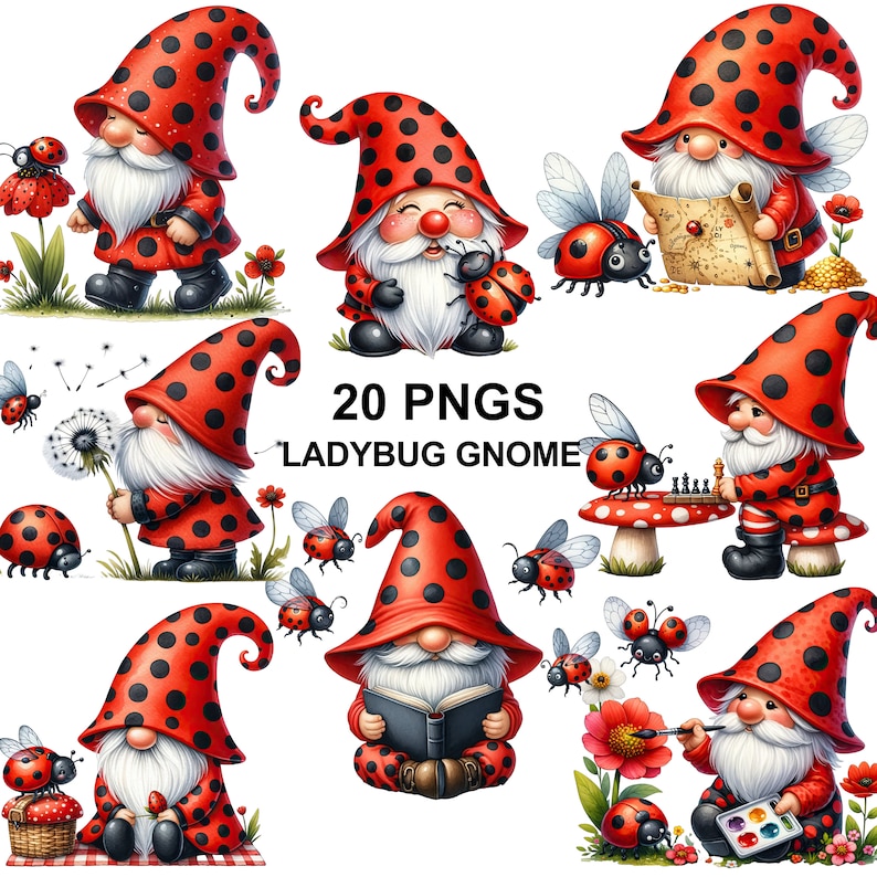 Ladybug Gnome Clipart, Spring Gnome Png, Cute Ladybug PNG, Ladybug ...