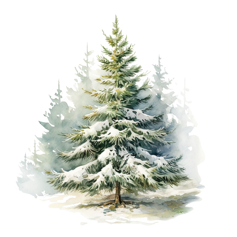 Watercolor Christmas Tree Clipart: Holiday PNG Images (digital Download ...