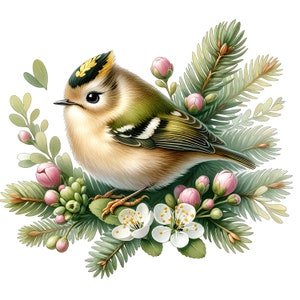 Floral Bird Clipart, Bird Graphics, Flower Bird Prints, Flower Bird ...