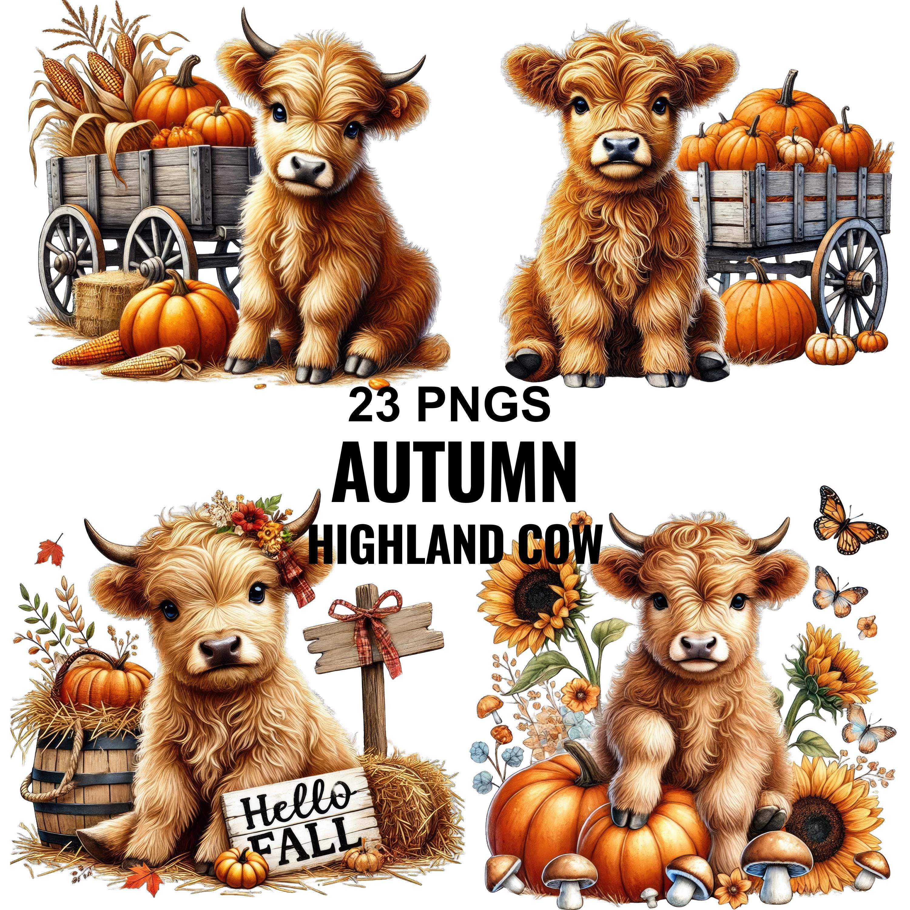 Highland Cow Fall Clipart: Pumpkin Sunflower PNG (digital Download - Etsy