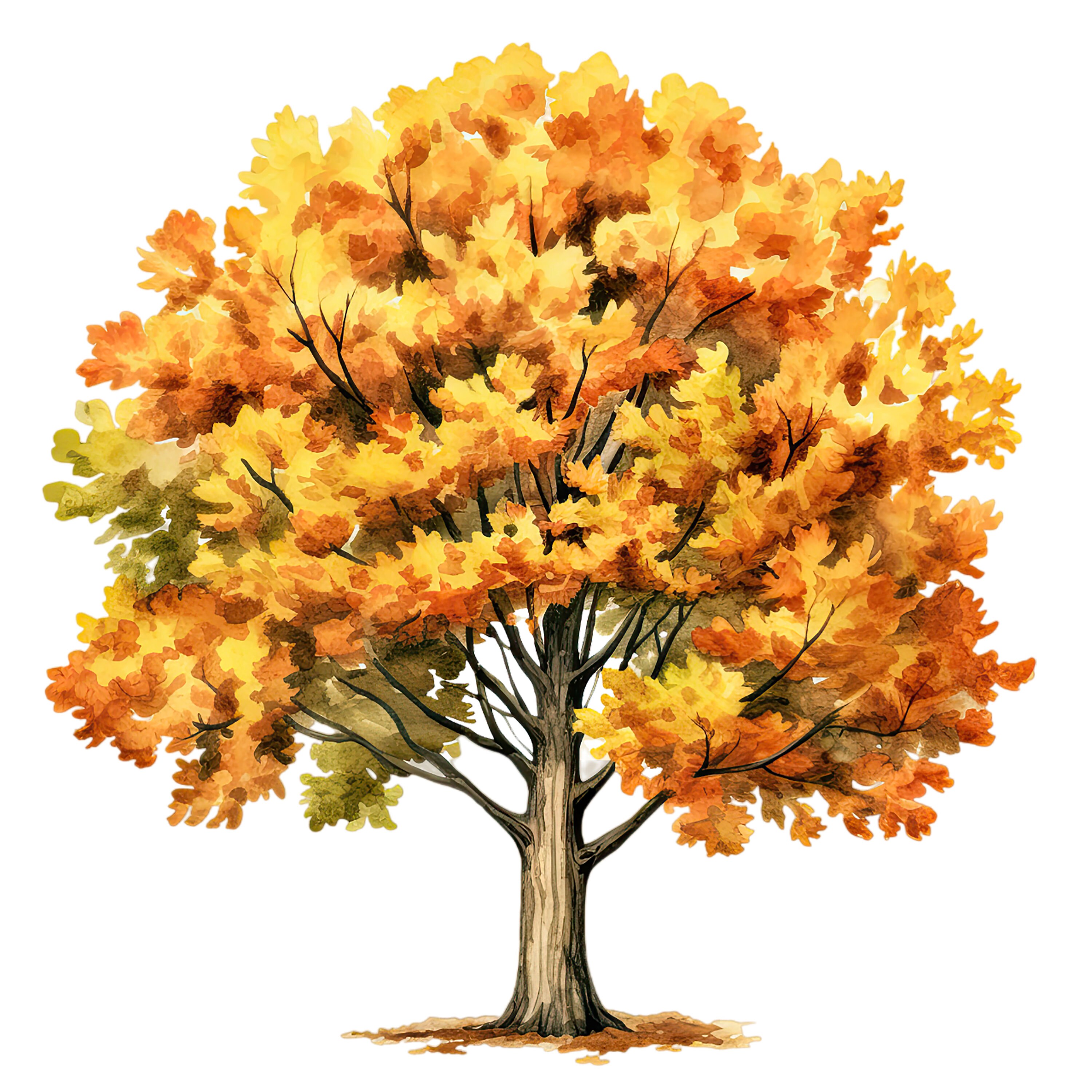 Autumn Tree Clipart, Fall Tree Clipart, Watercolor Clipart, Fall Season ...