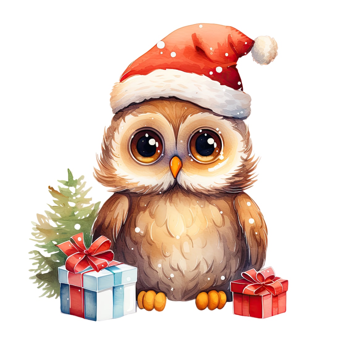 Watercolor Christmas Owl Clipart Christmas Owl Clipart Owl - Etsy