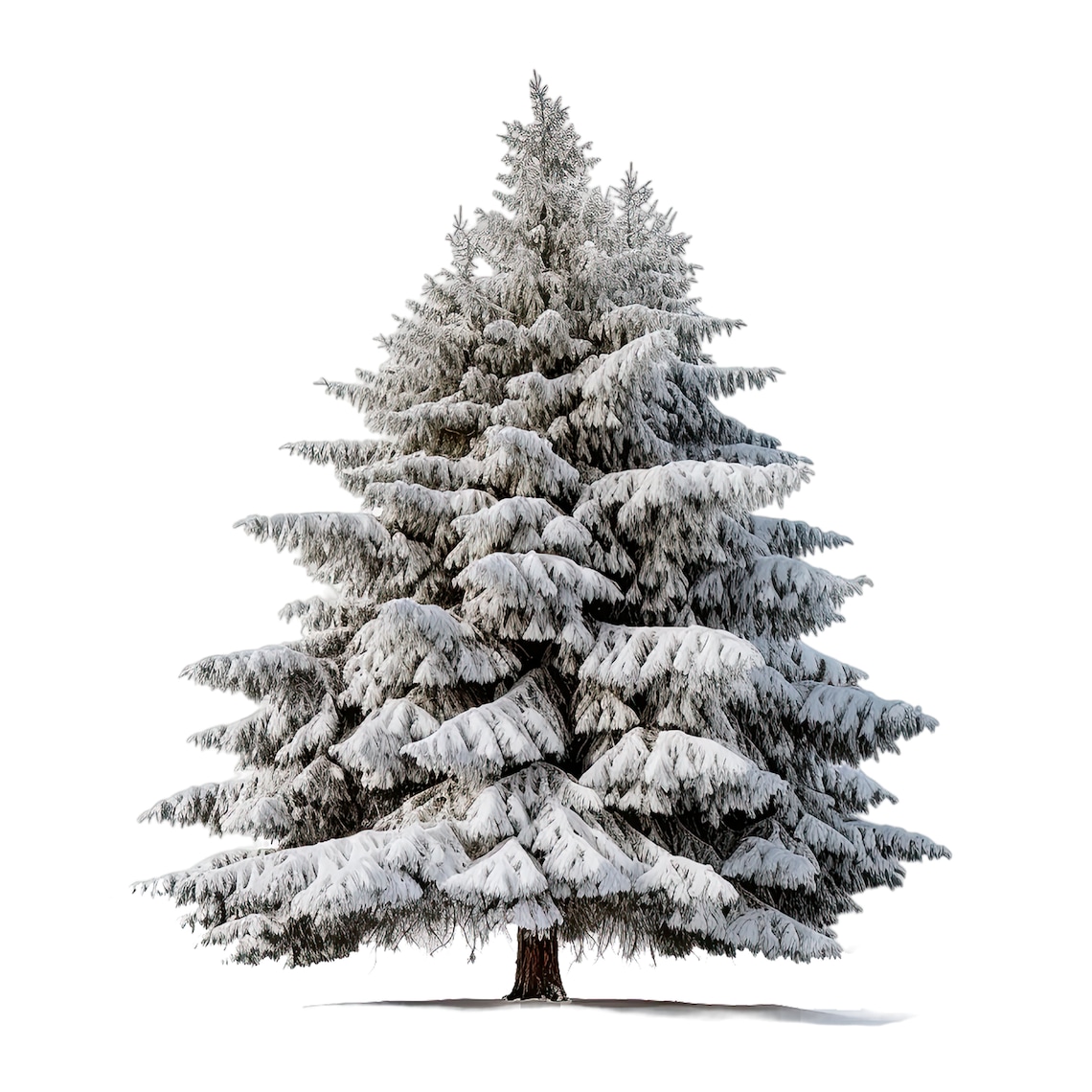 Snowy Tree Clipart, Christmas Tree Clipart, Watercolor Christmas Tree ...