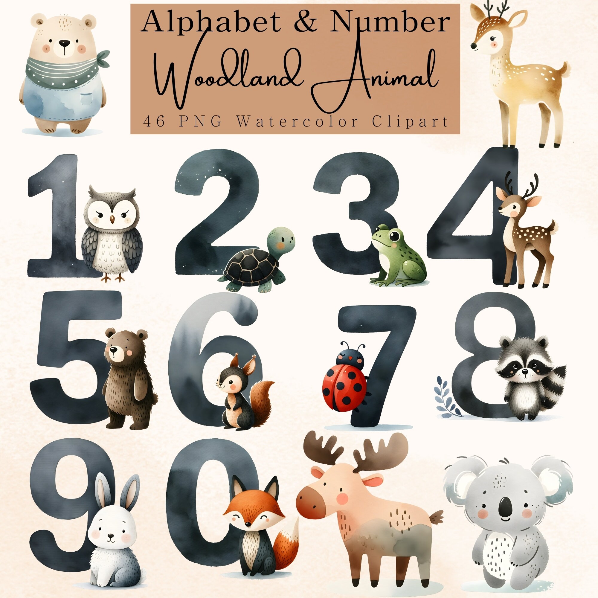 Woodland Animals Alphabet & Number Clipart - Digital Download ...