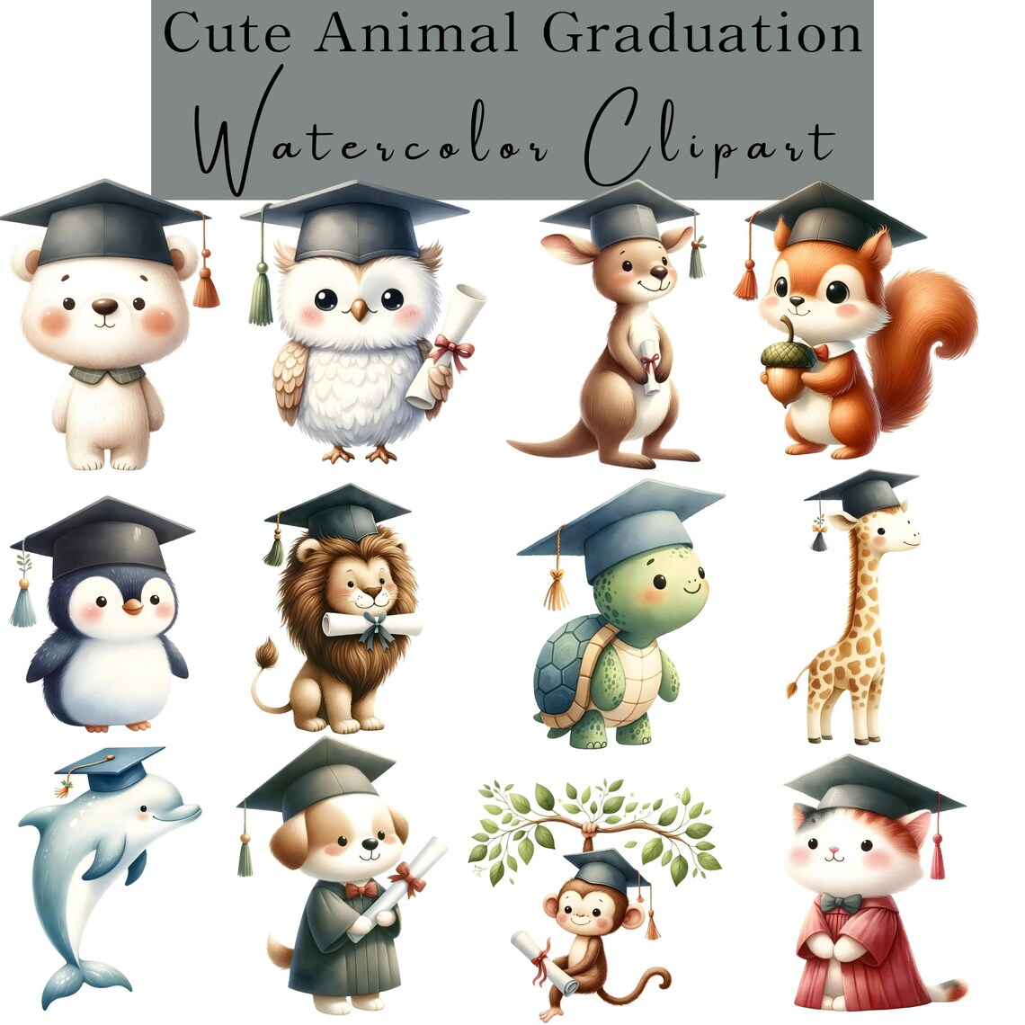 Cute Animal Graduation Clipart, Watercolor Nursery Decor for Preschool ...