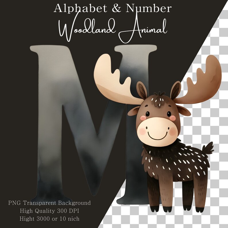 Woodland Animals Alphabet & Number Clipart Digital Download ...