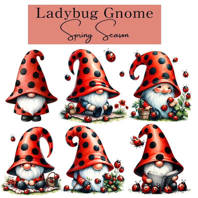 Ladybug Gnome Watercolor Clipart, Ladybug Gnome PNG Bundle, Charming ...