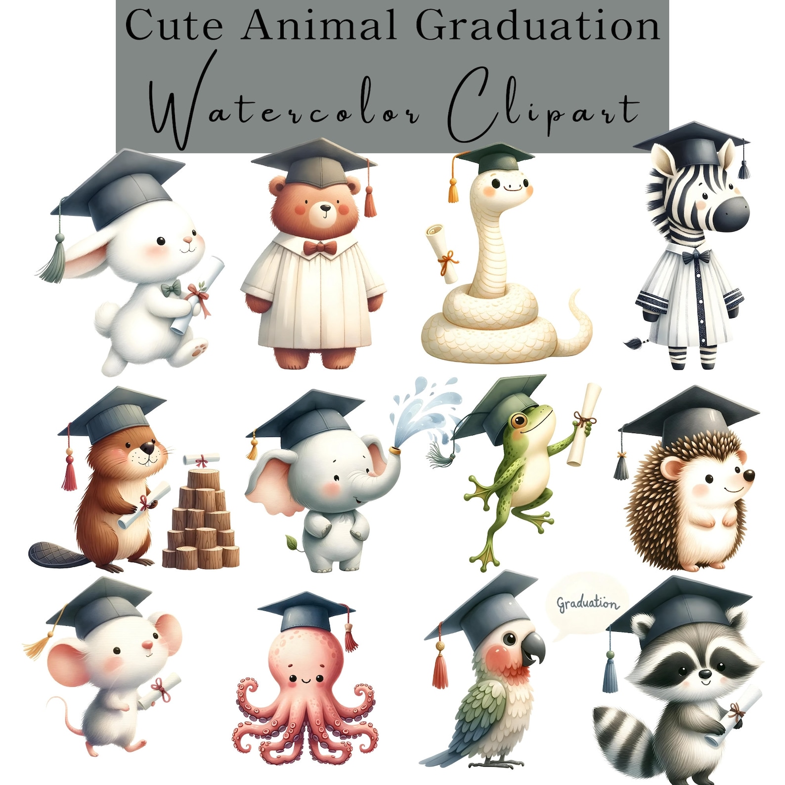 Cute Animal Graduation Clipart, Watercolor Nursery Decor for Preschool ...