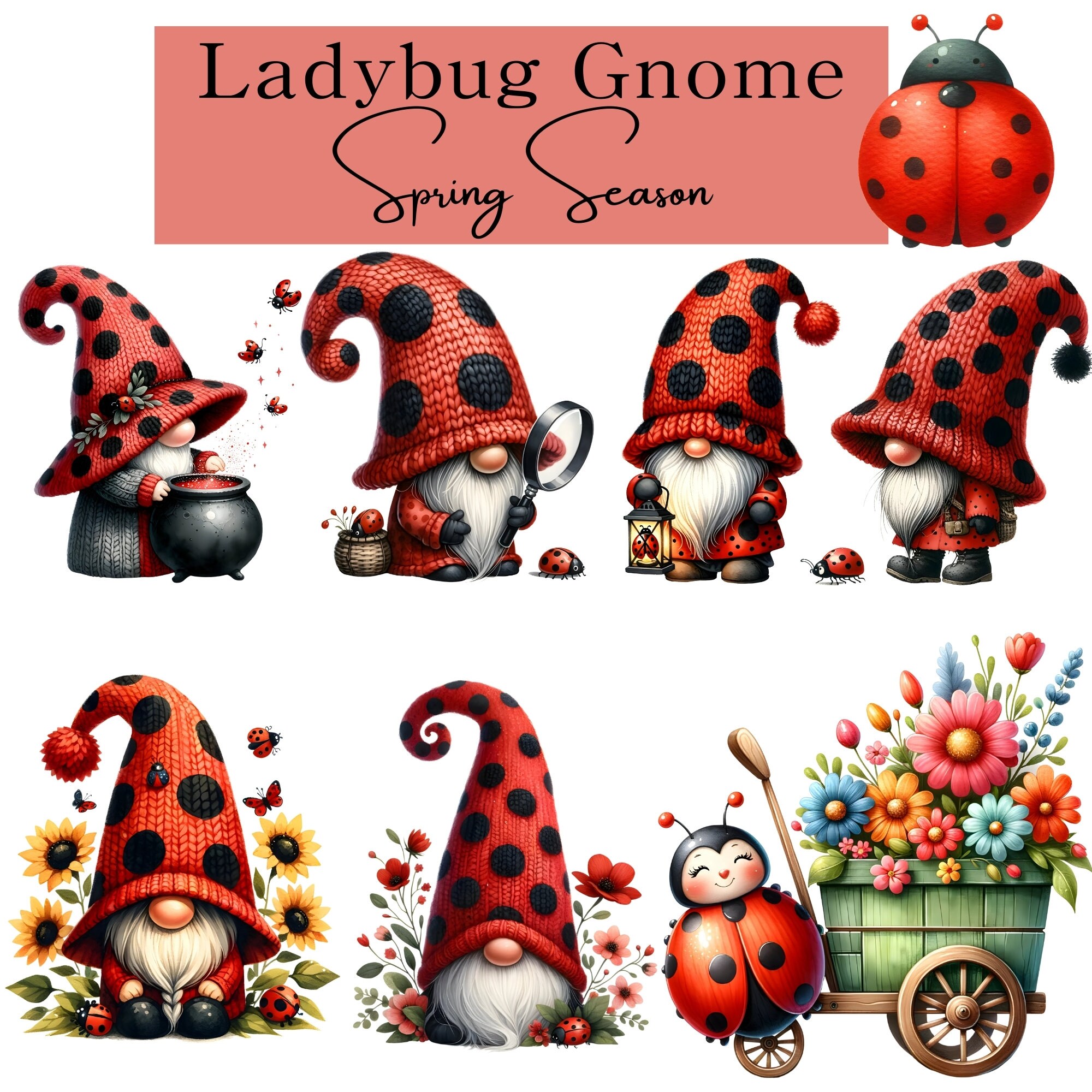 Ladybug Gnome Watercolor Clipart, Ladybug Gnome PNG Bundle, Charming ...