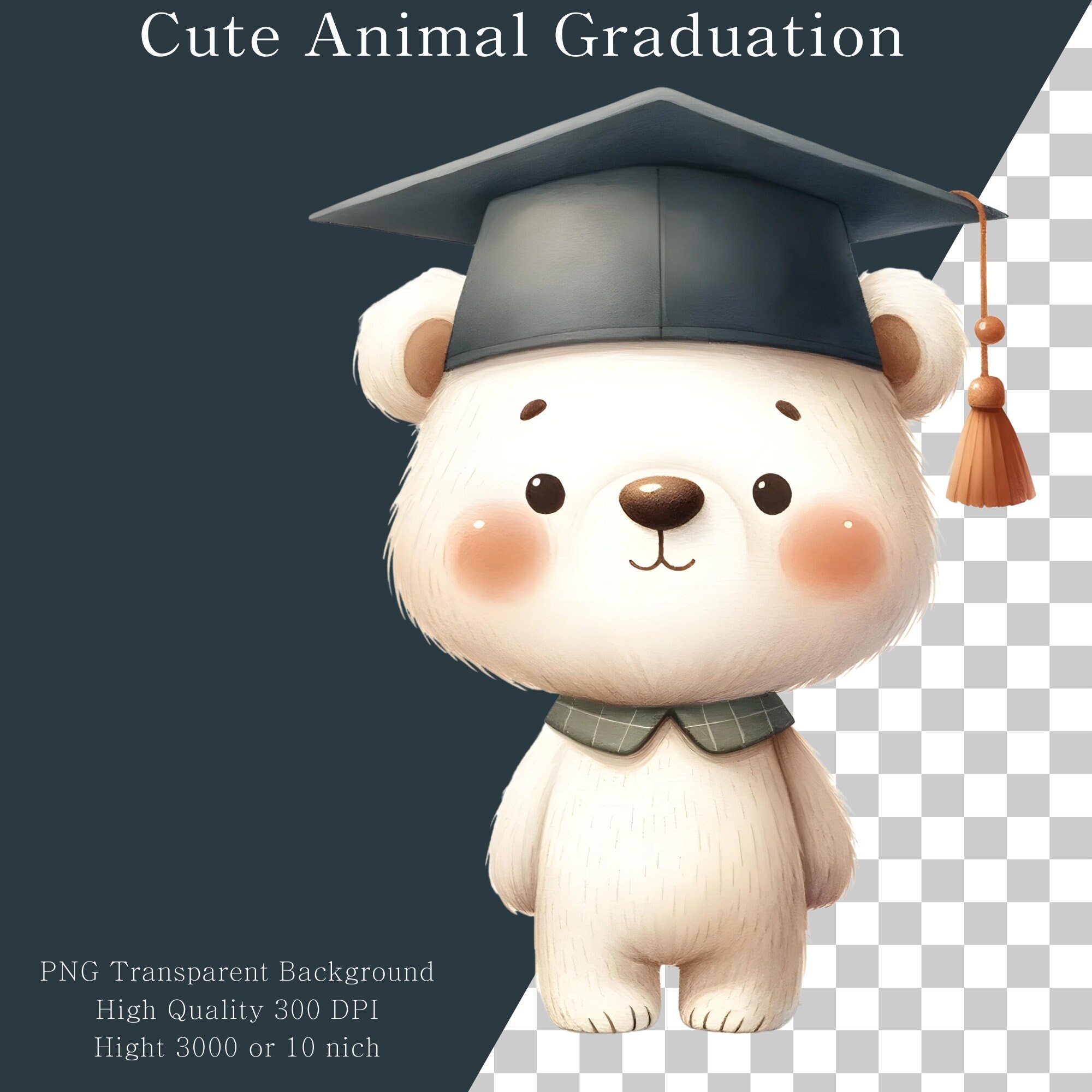 Cute Animal Graduation Clipart, Watercolor Nursery Decor for Preschool ...