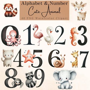 Woodland Animals Alphabet Clipart: Nursery Abcs (digital Download) - Etsy