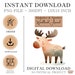 Woodland Animals Alphabet & Number Clipart Digital Download ...