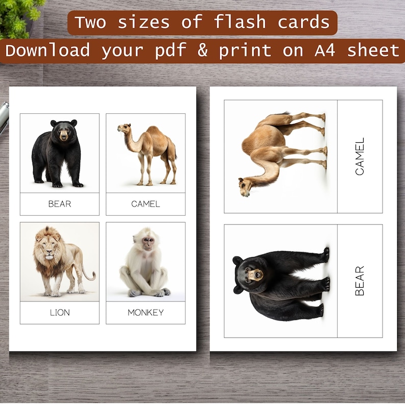 Zoo Animals Flash Cards: Toddler & Preschool Learning (digital Download ...