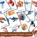 Ocean Animals Flash Cards,set of 20,toddlers & Pre-school Cards ...