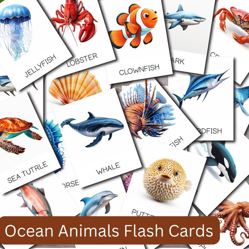 Ocean Animals Flash Cards,set of 20,toddlers & Pre-school Cards ...