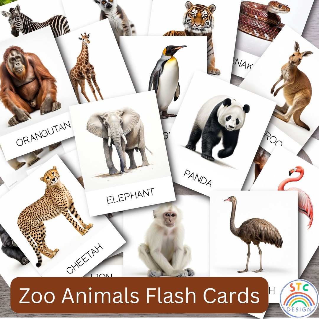 Zoo Animals Flash Cards: Toddler & Preschool Learning (digital Download ...