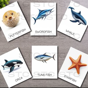 Ocean Animals Flash Cards,set of 20,toddlers & Pre-school Cards ...