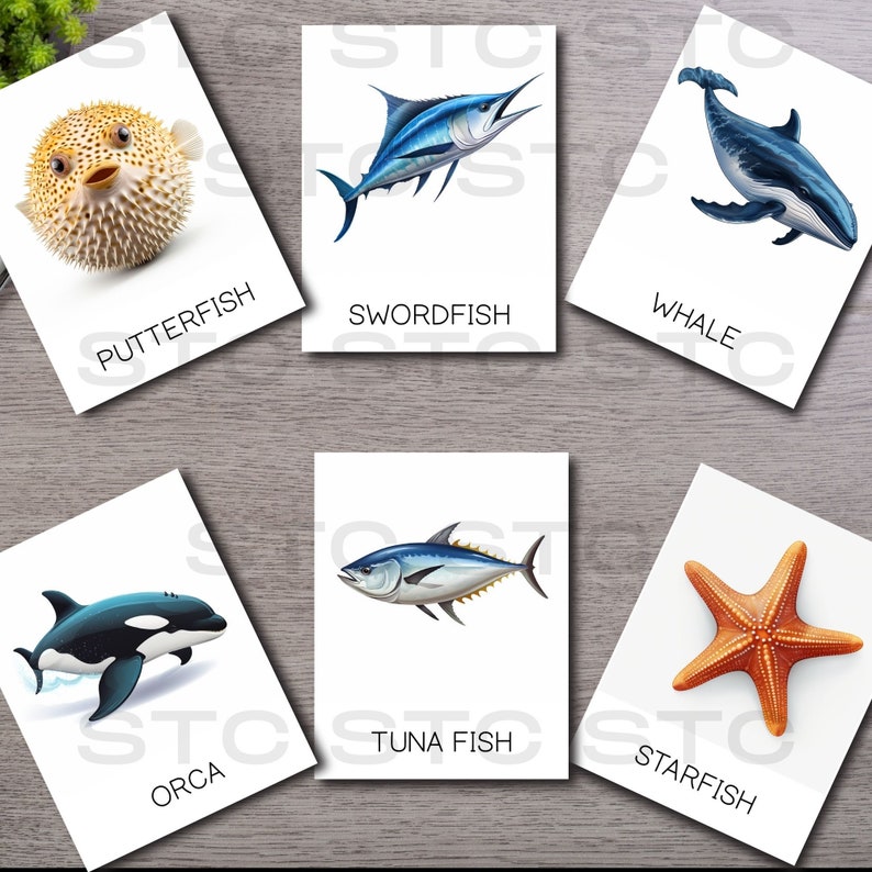 Ocean Animals Flash Cards,set of 20,toddlers & Pre-school Cards ...