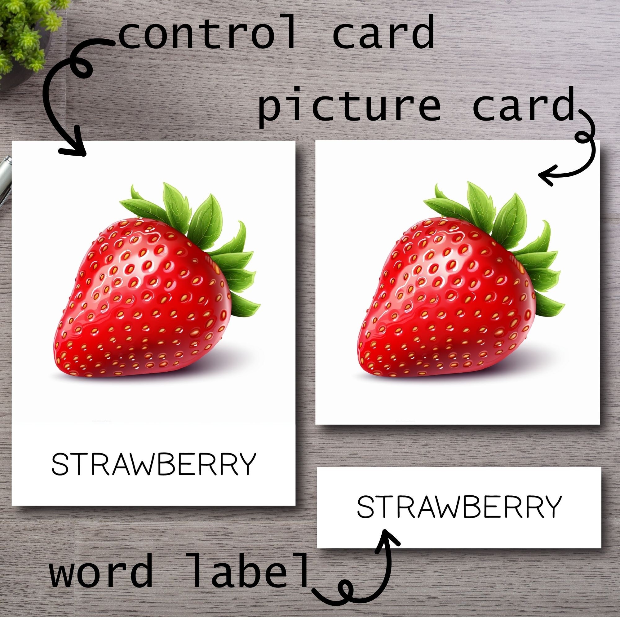 Fruits Vocabulary Flash Cards: Toddler & Preschool Learning (printable ...