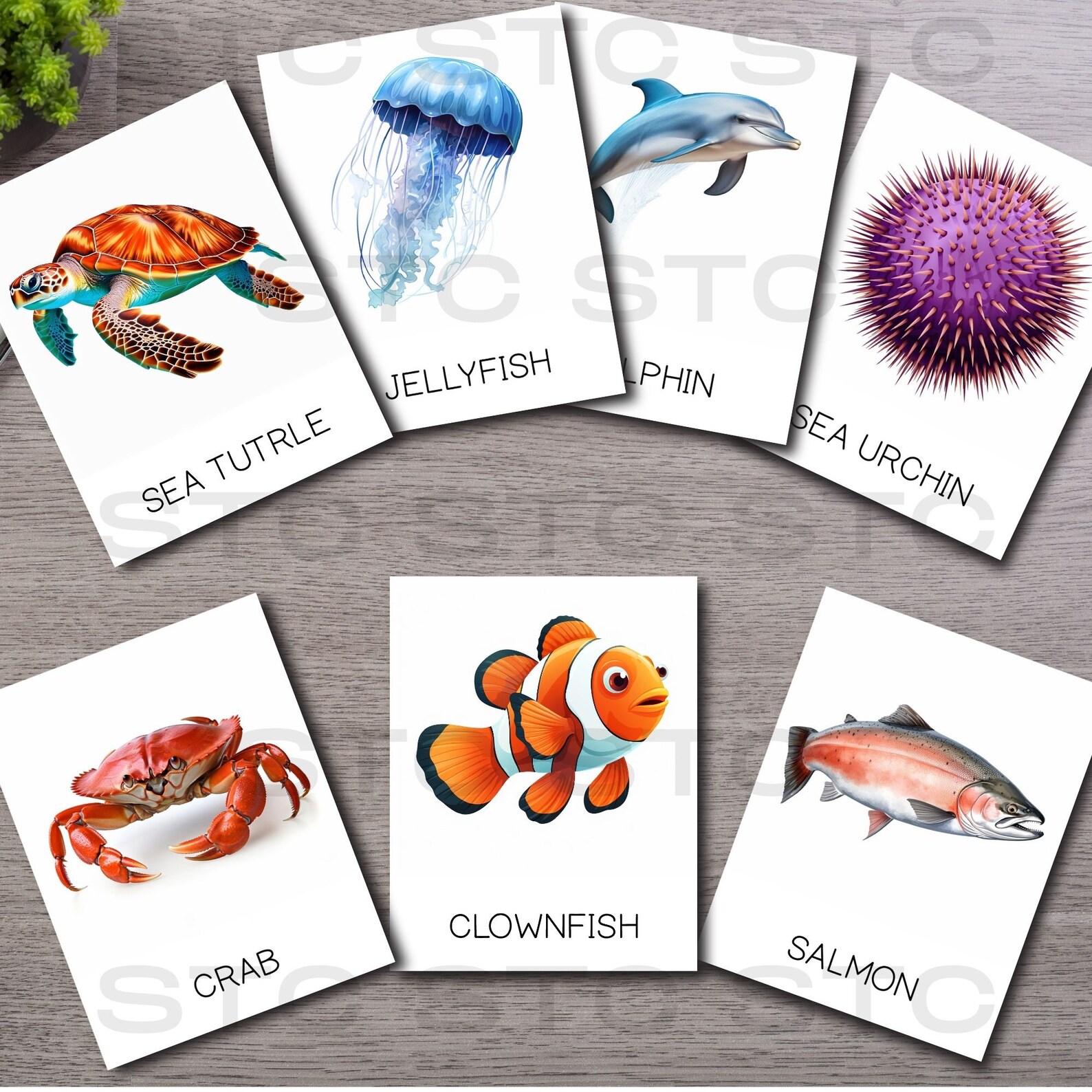 Ocean Animals Flash Cards,set of 20,toddlers & Pre-school Cards ...