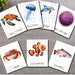 Ocean Animals Flash Cards,set of 20,toddlers & Pre-school Cards ...