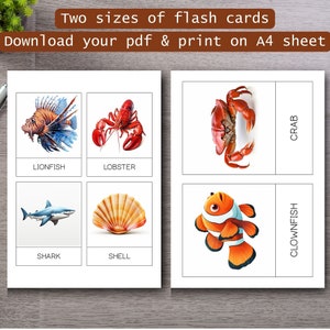 Ocean Animals Flash Cards,set of 20,toddlers & Pre-school Cards ...