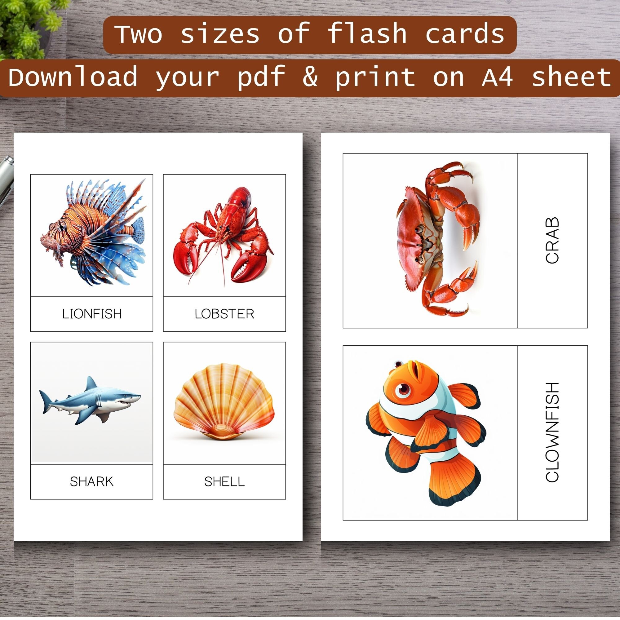 Ocean Animals Flash Cards,set of 20,toddlers & Pre-school Cards ...