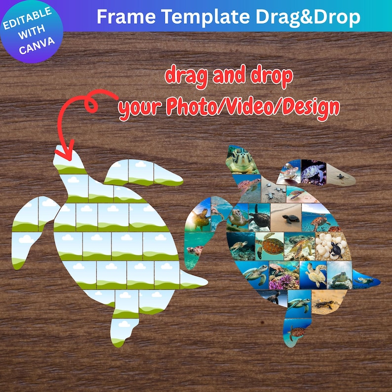 Sea Turtle Photo Collage Canva Frame Template, Drag and Drop Grid ...